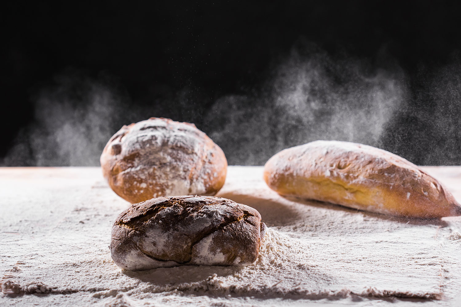 Über Modersohn - Modersohn Brot